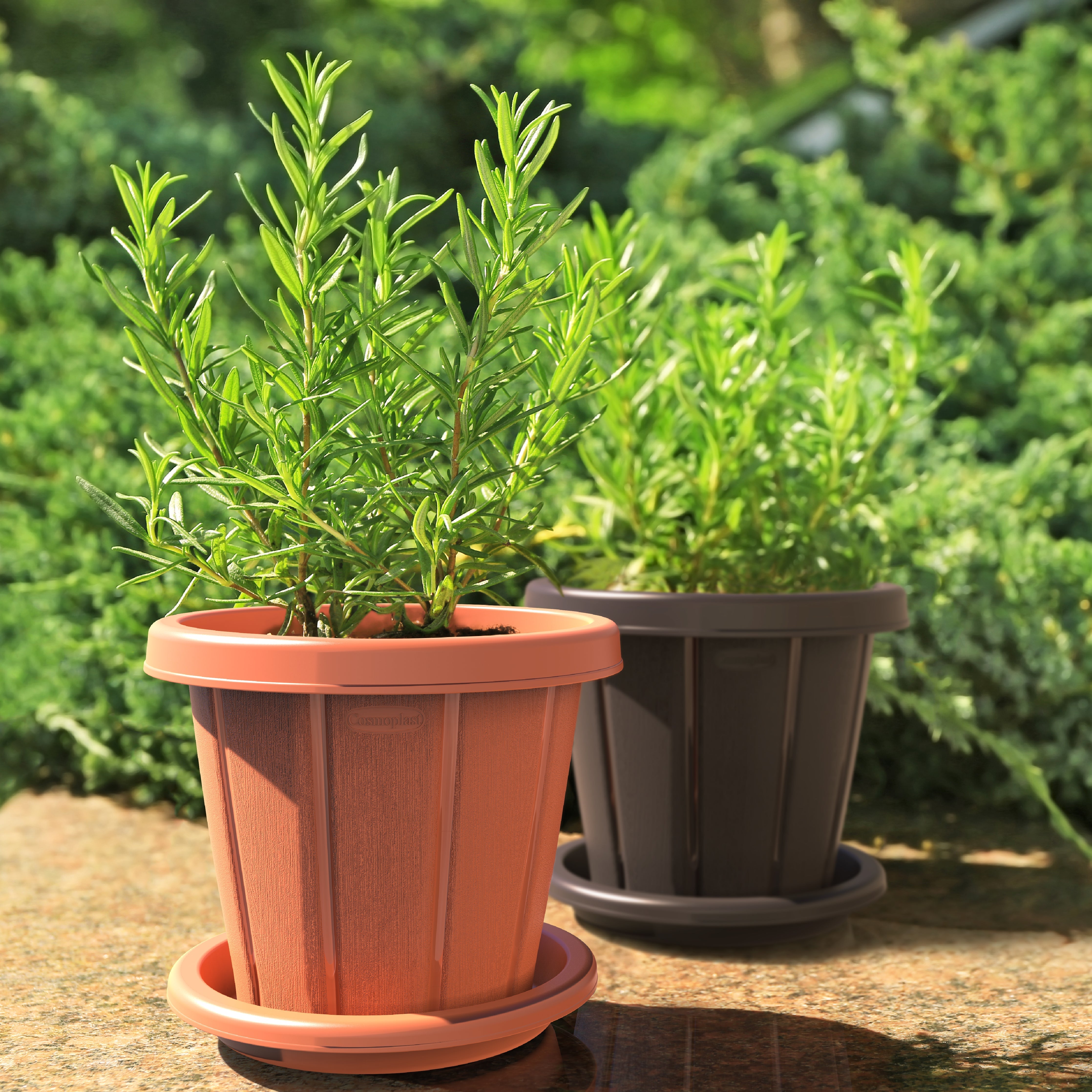 Shop for Plant Pots and Box with Tray-Garden – Page 2 – Cosmoplast Bahrain